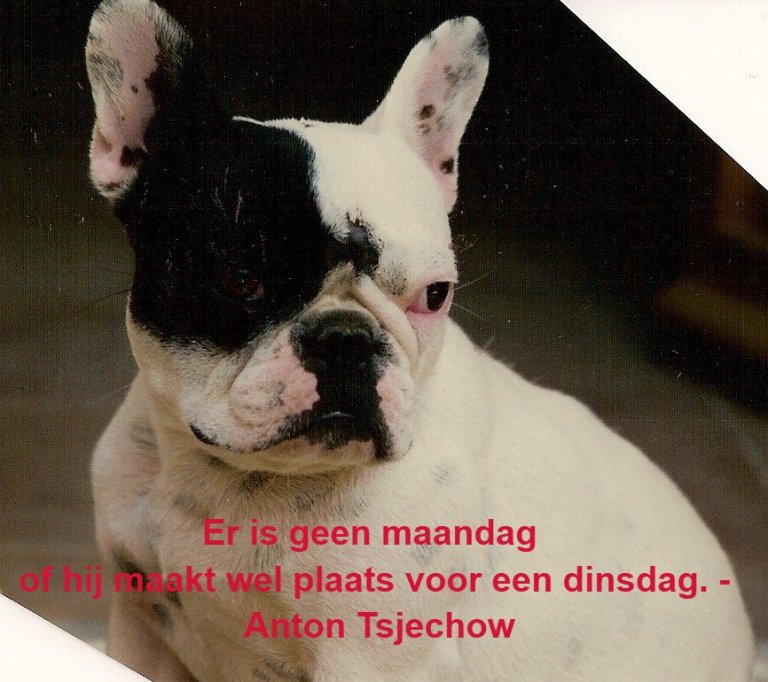 MOOIE FOTO’S, VERRASSENDE WIJSHEDEN, CITATEN, GEDICHTEN, EPIGRAMMEN EN ...